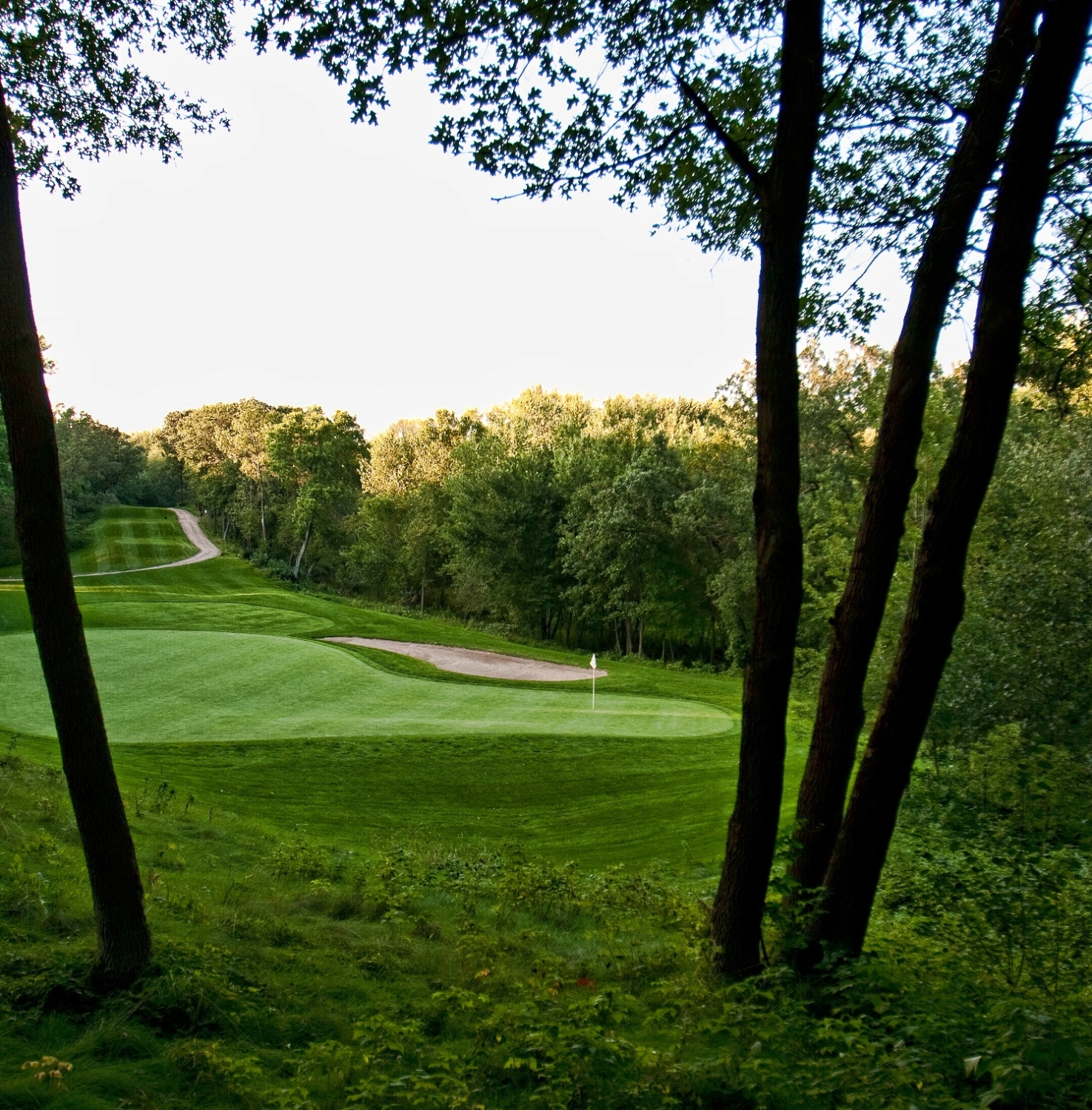 Golf Course - Territory